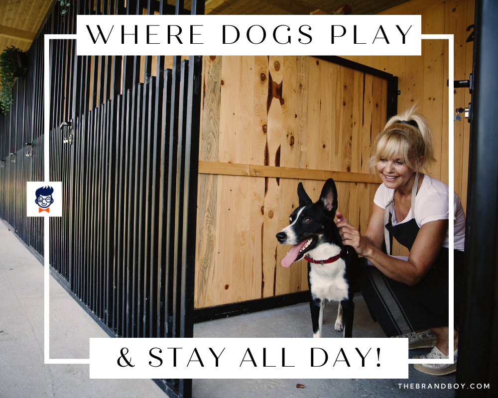 740+ Best Dog Kennel Slogans and Taglines (Generator + Guide ...