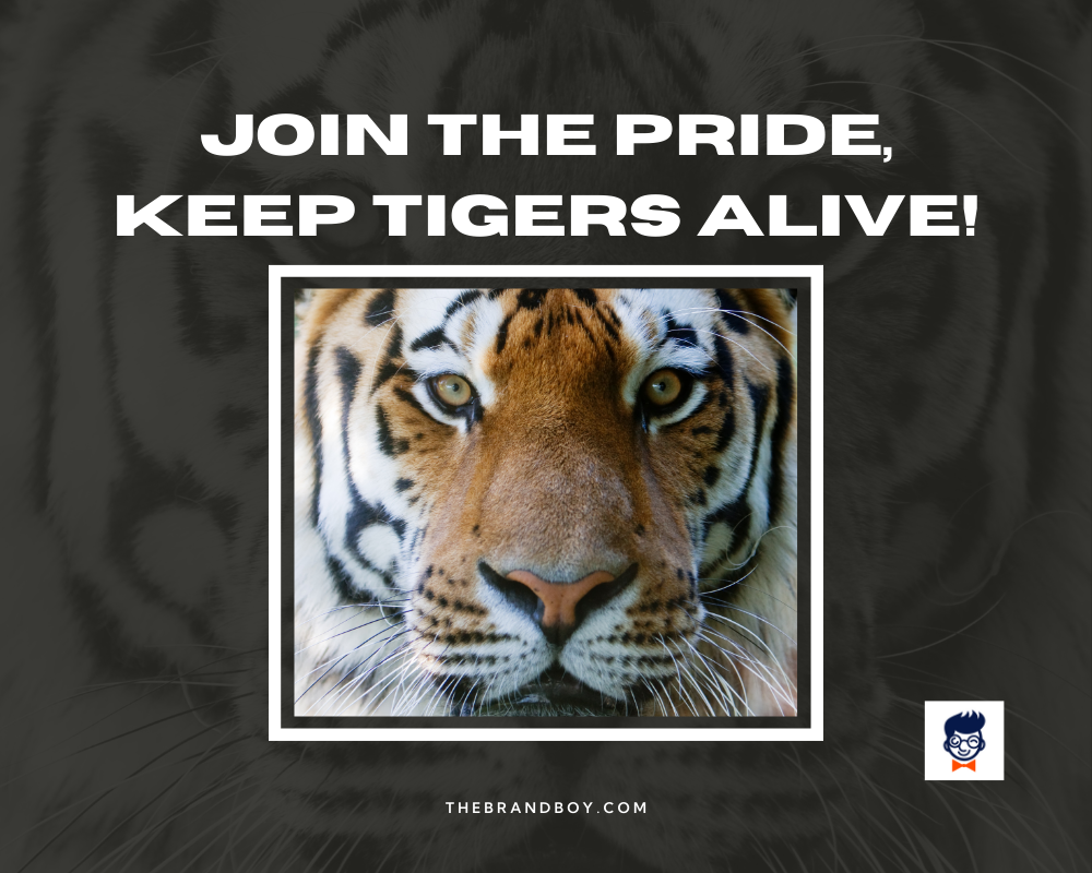 784+ Clever Save Tigers Slogans (Generator + Guide) - Thebrandboy.com