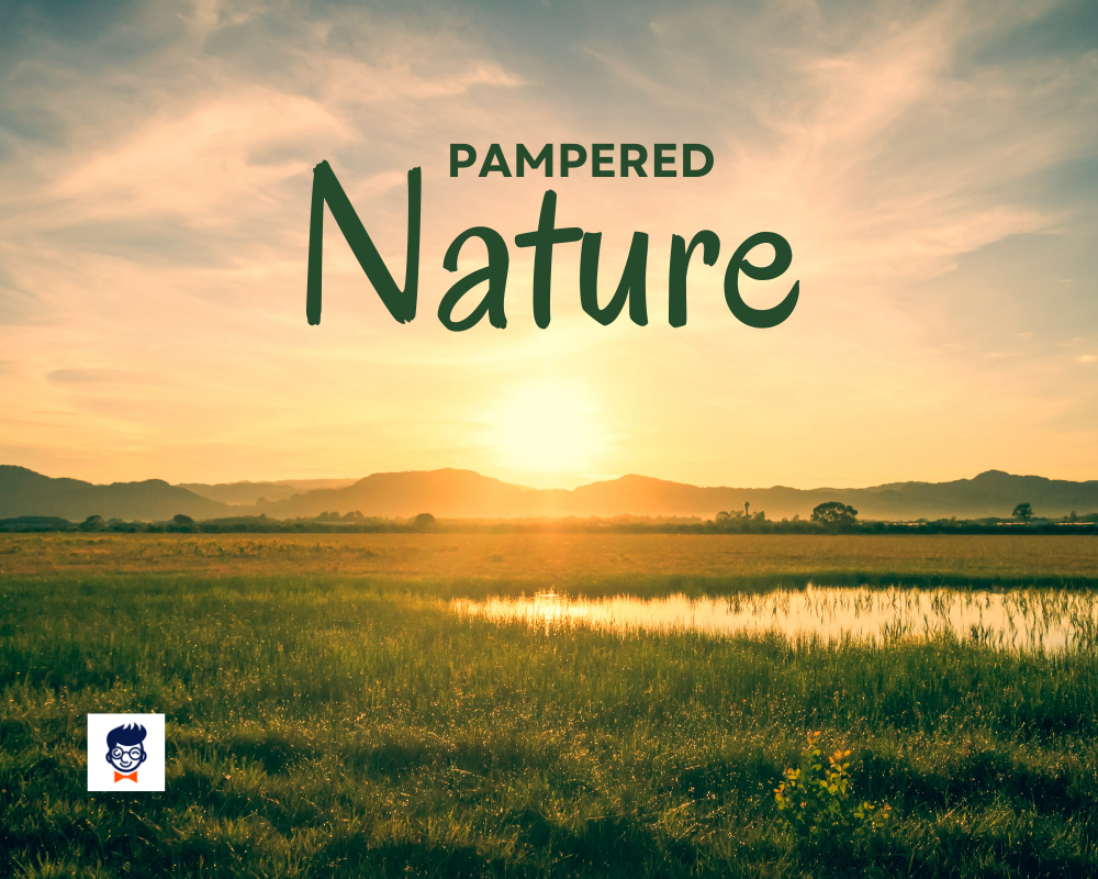 785+ Best Nature Slogans Collection - thebrandboy.com