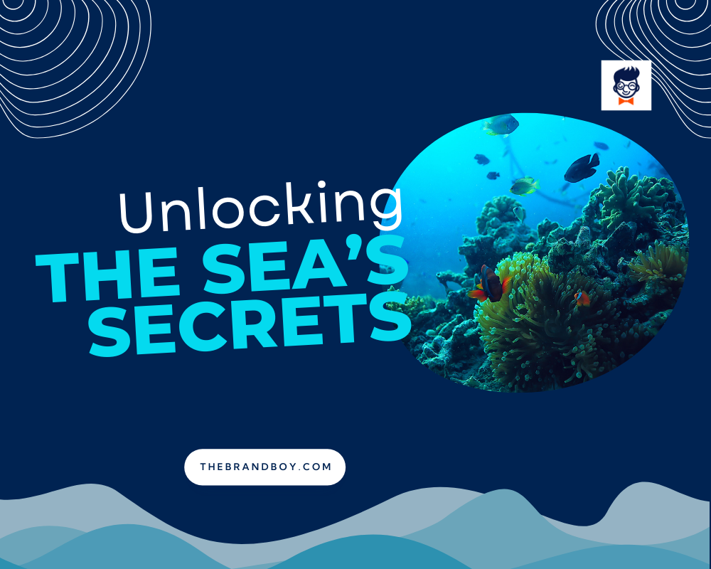 750+ Marine Slogans And Taglines (Generator + Guide) | Catchy Ocean Slogans