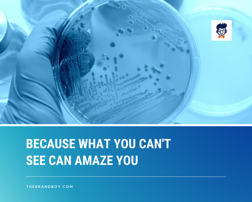 847+ Best Microbiology Slogans And taglines (Generator + Guide ...