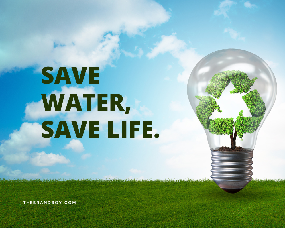 658+ Catchy Sustainability Slogans Collection | thebrandboy