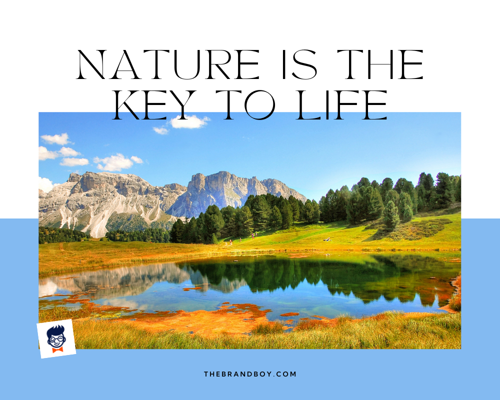 785+ Best Nature Slogans Collection - thebrandboy.com