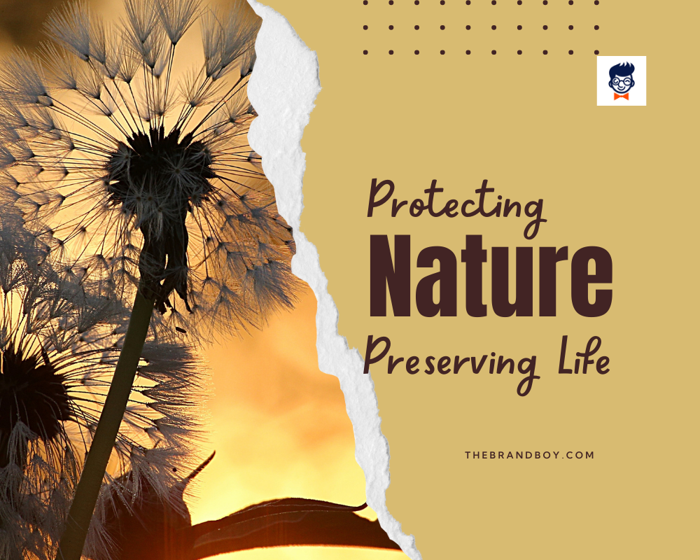 785+ Best Nature Slogans Collection - thebrandboy.com