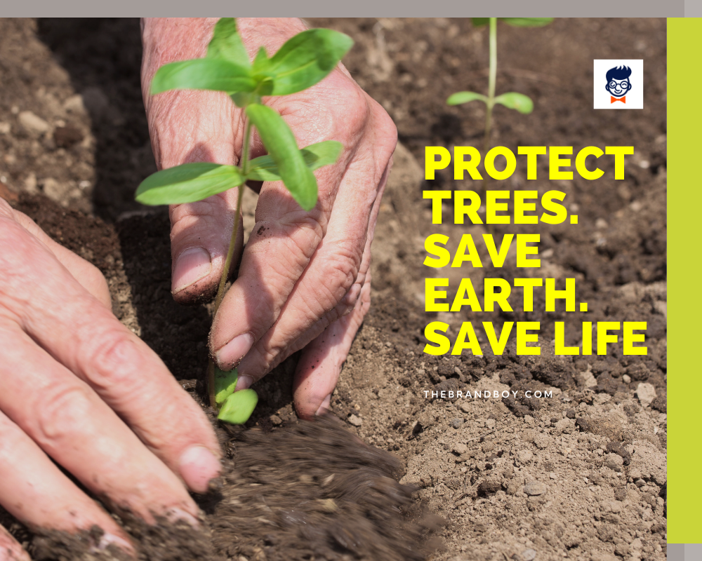 872+ Catchy Tree Plantation Slogans and Sayings (Generator + Guide ...