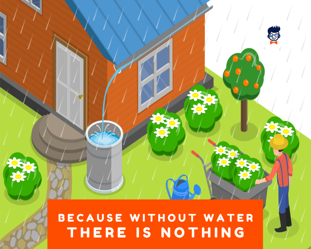 865+ Best Rainwater Harvesting Slogans And Taglines (Generator + Guid ...