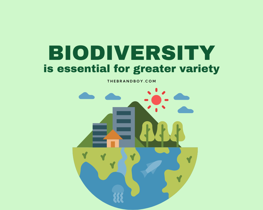 450+ Amazing Biodiversity Slogans -TheBrandBoy.com