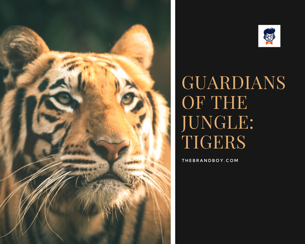 784+ Clever Save Tigers Slogans (Generator + Guide) - Thebrandboy.com