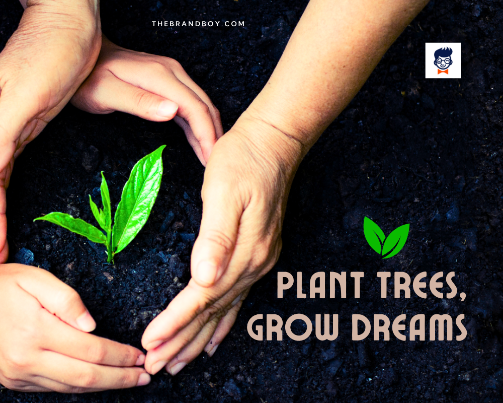 872+ Catchy Tree Plantation Slogans and Sayings (Generator + Guide ...
