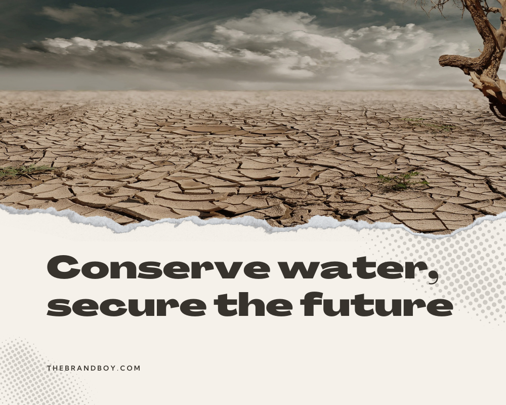 179+ Brilliant Drought Slogans and Sayings (Generator + Guide ...