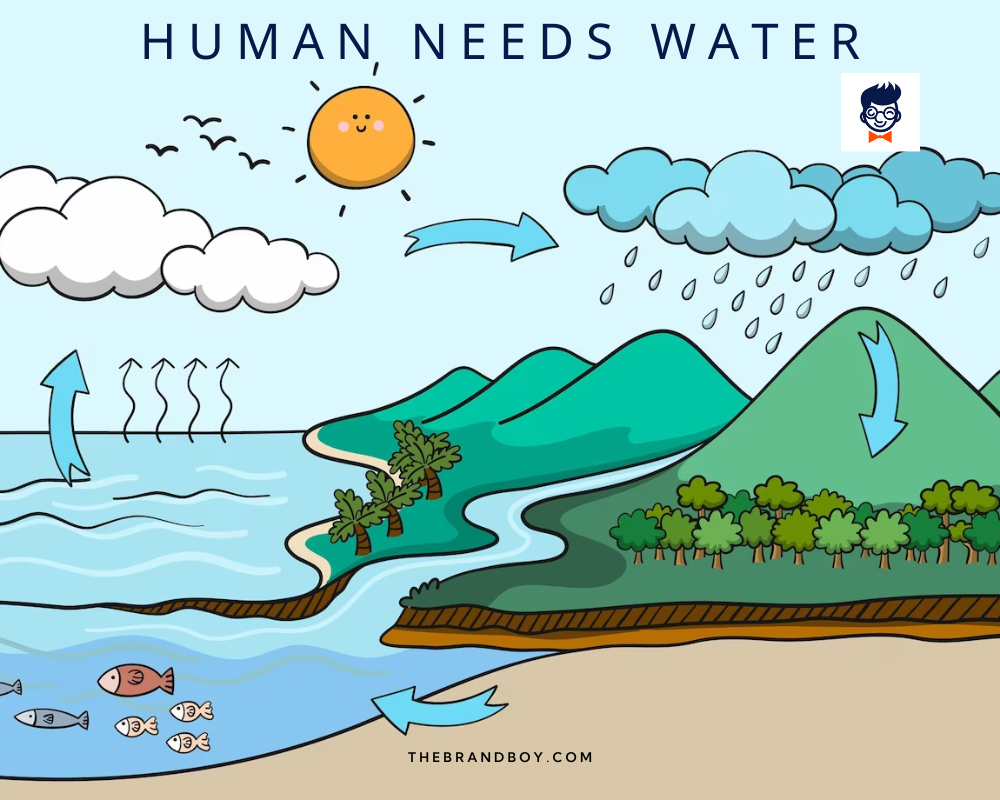 865+ Best Rainwater Harvesting Slogans And Taglines (Generator + Guid ...