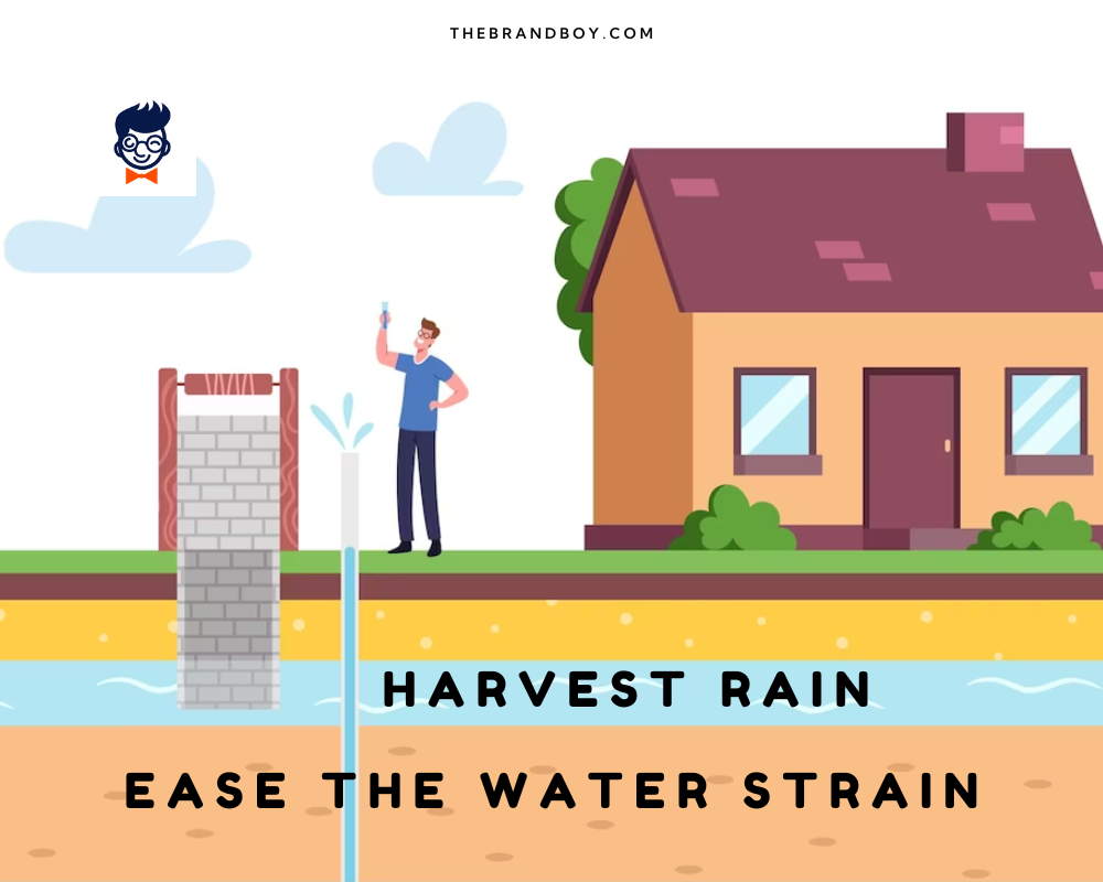 865+ Best Rainwater Harvesting Slogans And Taglines (Generator + Guid ...