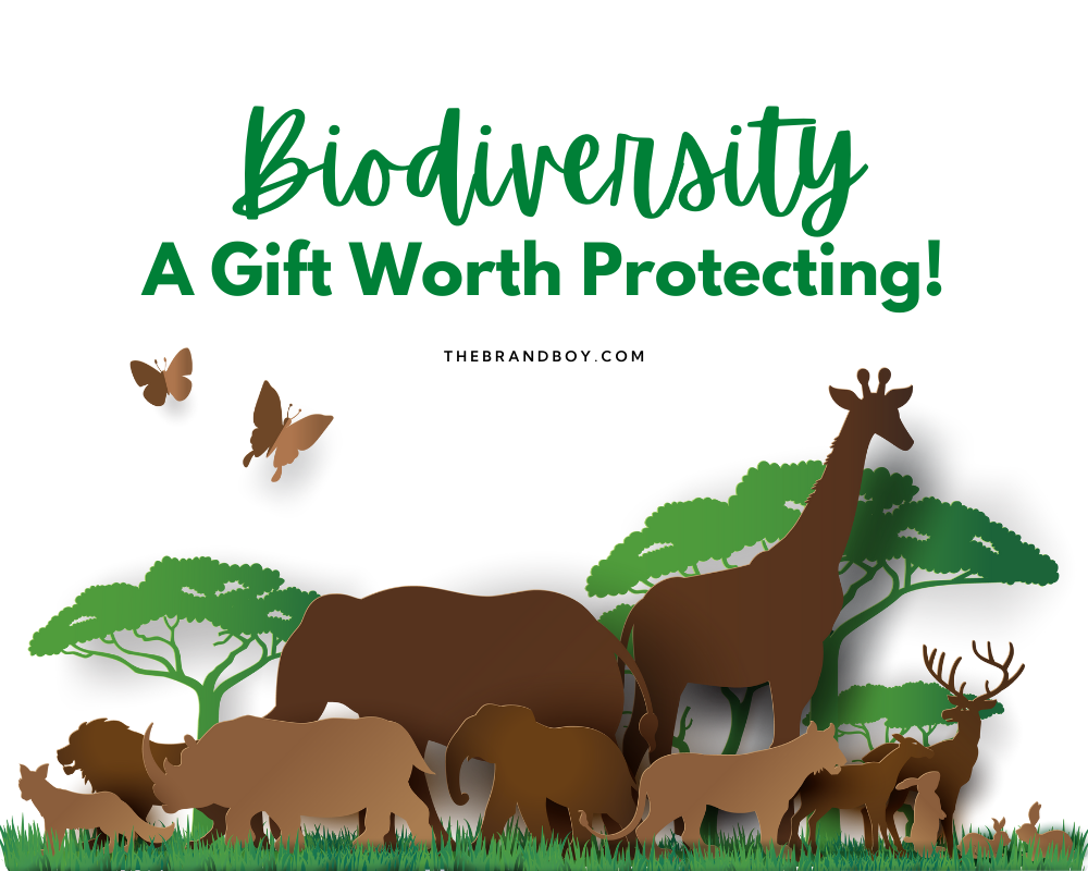 450+ Amazing Biodiversity Slogans -TheBrandBoy.com
