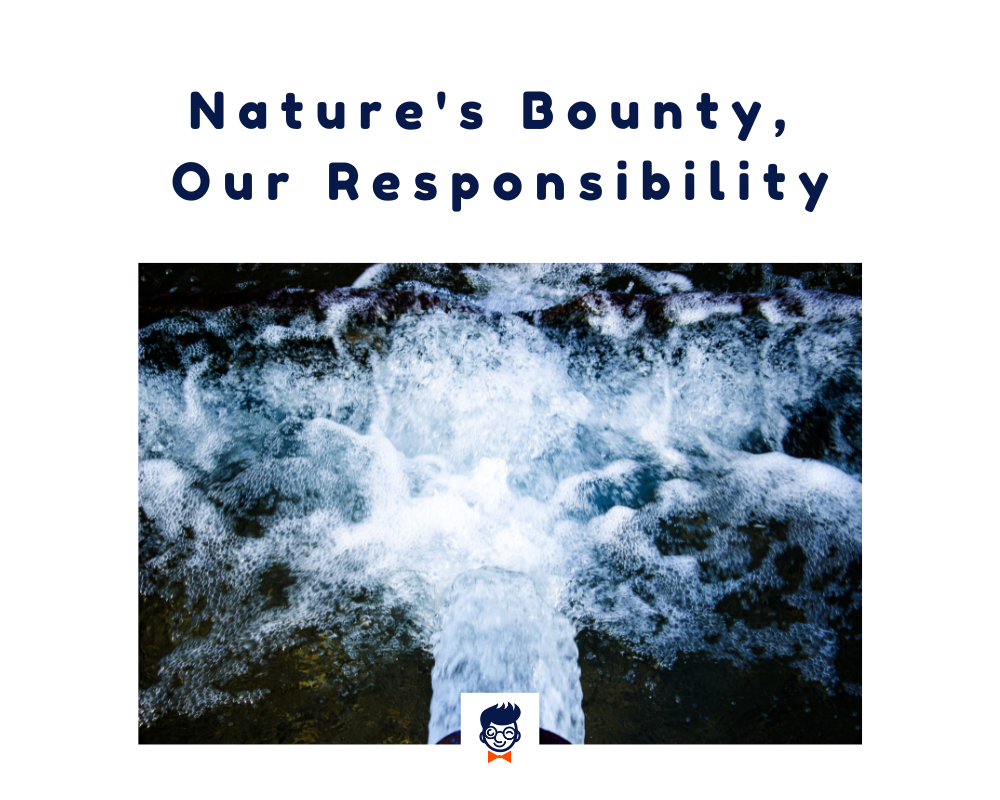 865+ Best Rainwater Harvesting Slogans And Taglines (Generator + Guid ...