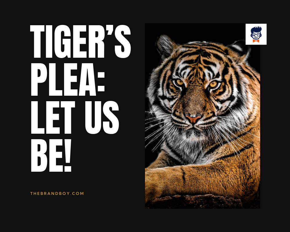 784+ Clever Save Tigers Slogans (Generator + Guide) - Thebrandboy.com