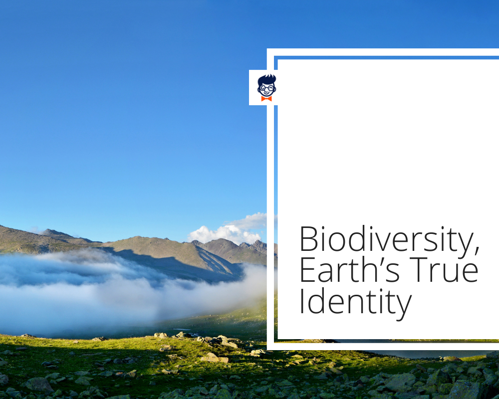 785+ Best Nature Slogans Collection - thebrandboy.com