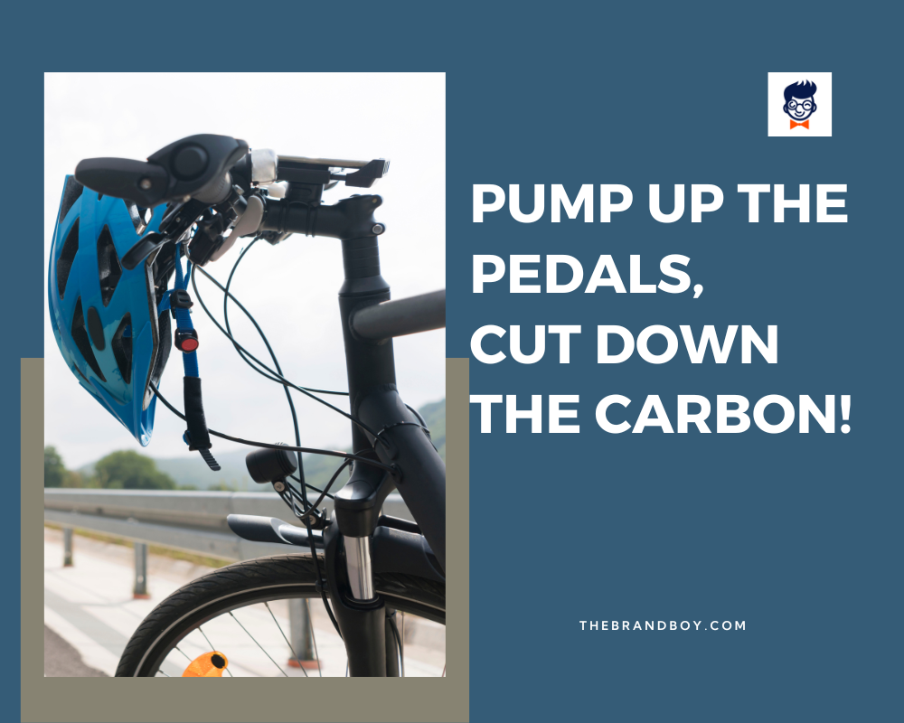 814+ Amazing Bicycle Safety Slogans And Taglines (Generator + Guide ...