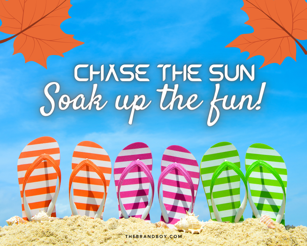 852+ Crazy Summer Slogans And Taglines (Generator + Guide) -TheBrandBoy.com