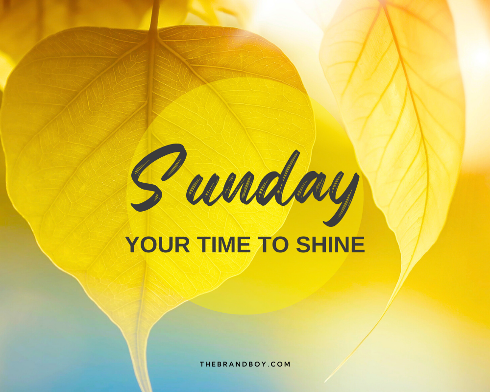 871+ Clever Sunday Slogans And Taglines (Generator + Guide ...