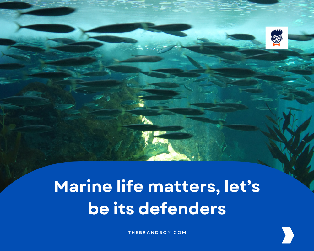 750+ Marine Slogans And Taglines (Generator + Guide) | Catchy Ocean Slogans