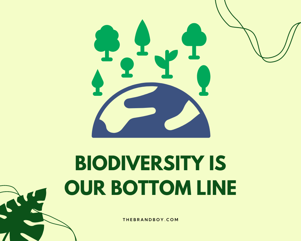 450+ Amazing Biodiversity Slogans -TheBrandBoy.com