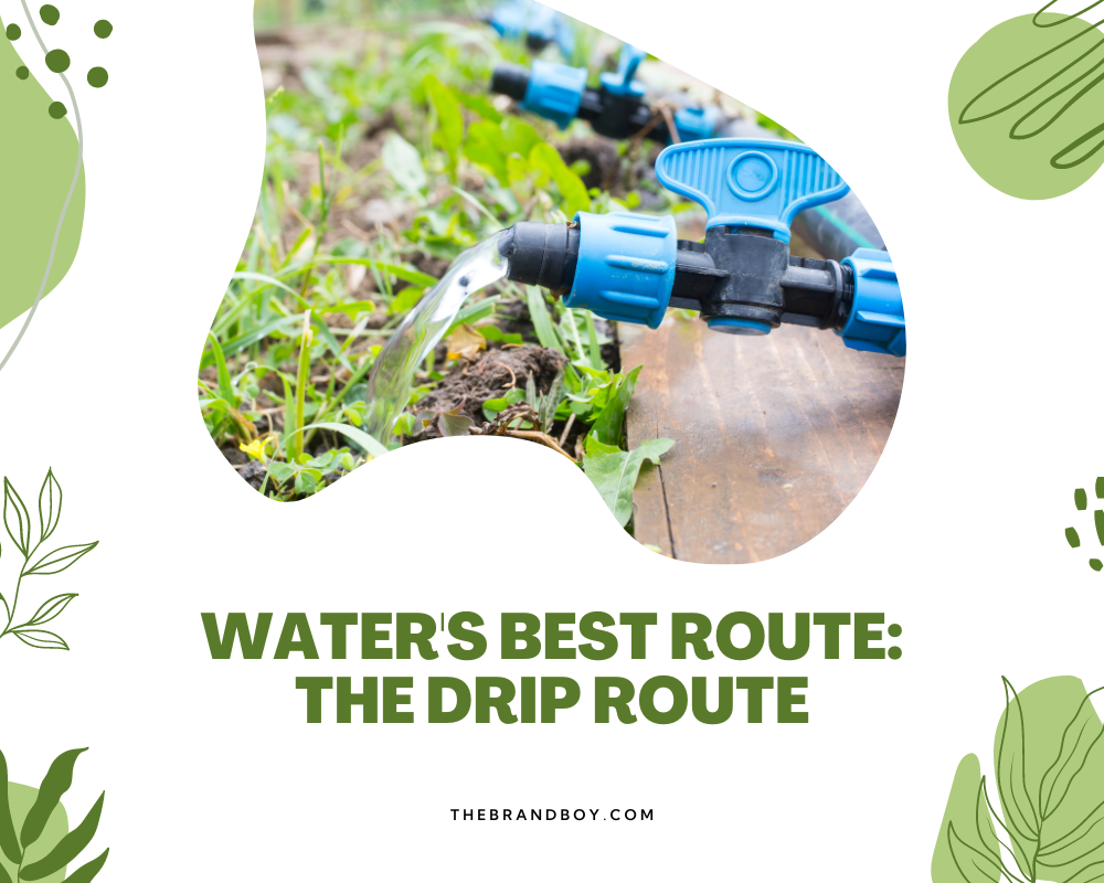 758+ Clever Drip Irrigation Slogans (generator + Guide) - Thebrandboy.com