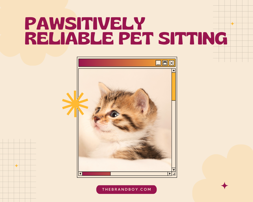 682 Catchy Pet Sitting Slogans And Taglines Generator Guide