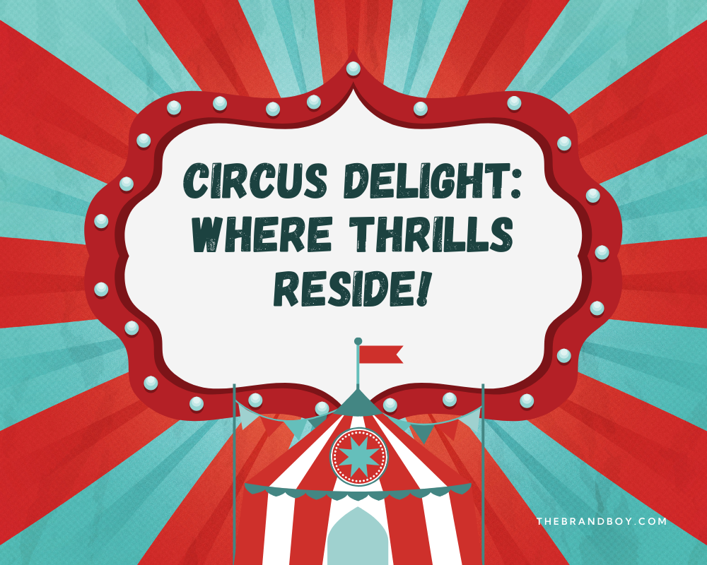 752+ Catchy Carnival Slogans, Sayings And Phrases - BrandBoy