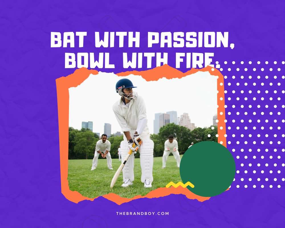 789+ Amazing Cricket Slogans And Taglines (Generator + Guide) - BrandBoy