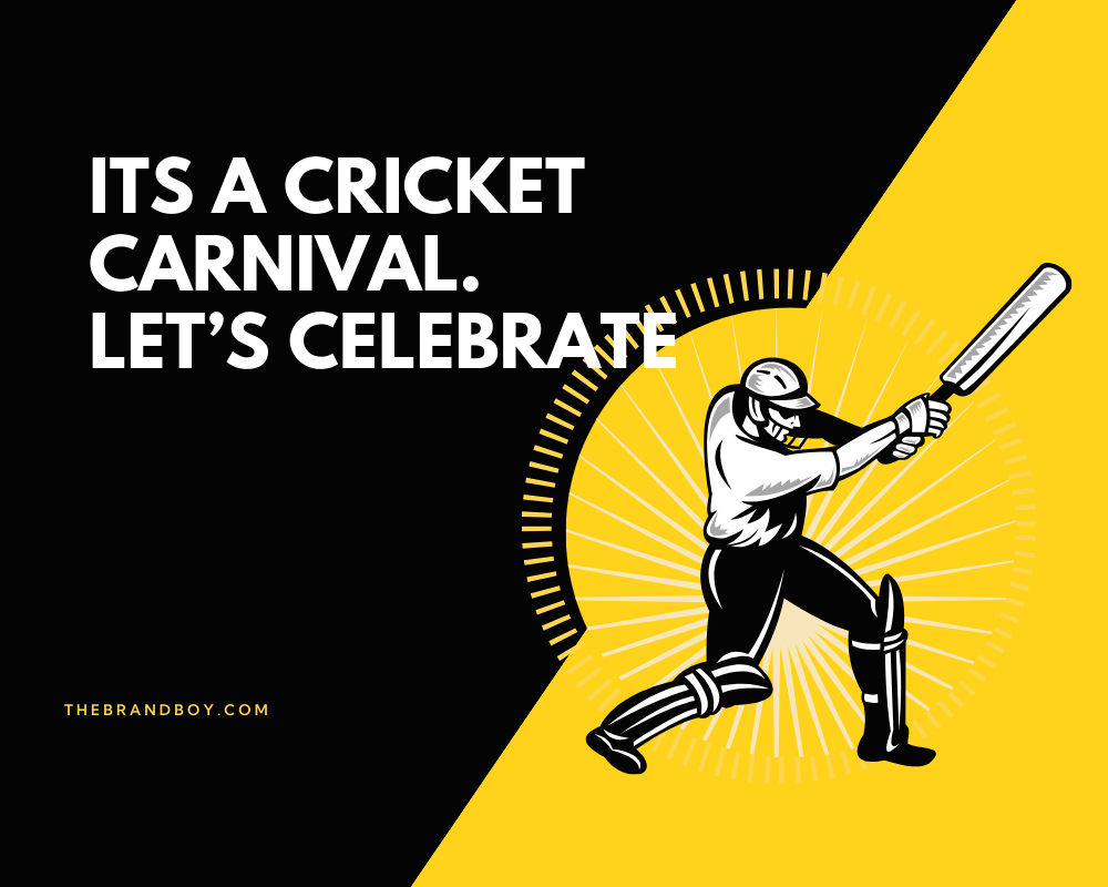 789+ Amazing Cricket Slogans And Taglines (Generator + Guide) - BrandBoy
