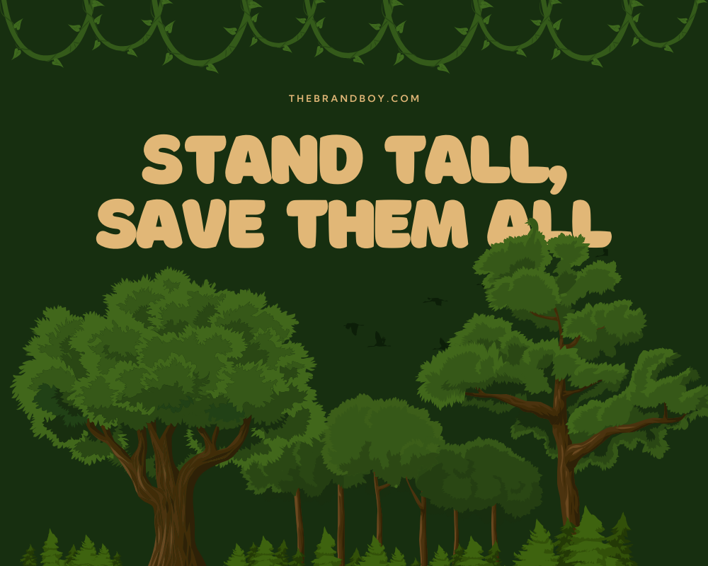 871+ Best Forest Slogans And Taglines (Generator + Guide) - Thebrandboy.com