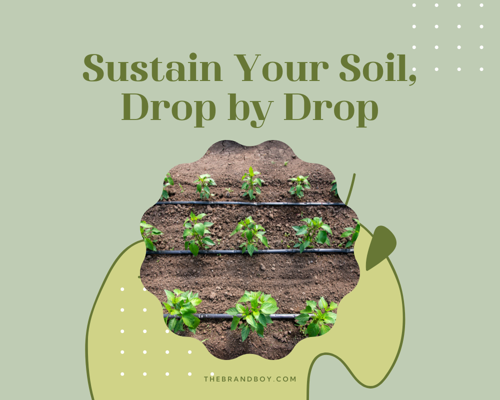 758+ Clever Drip Irrigation Slogans (generator + Guide) - Thebrandboy.com