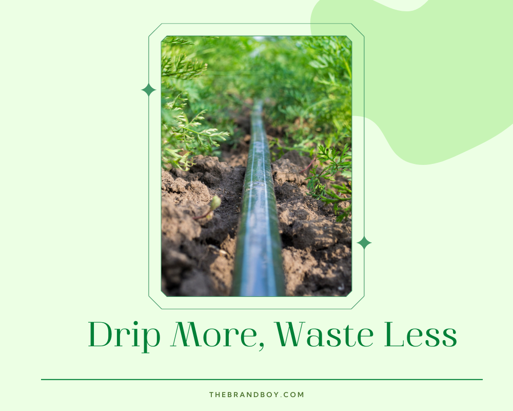 758+ Clever Drip Irrigation Slogans (generator + Guide) - Thebrandboy.com