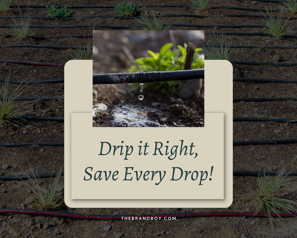 758+ Clever Drip Irrigation Slogans (generator + Guide) - Thebrandboy.com