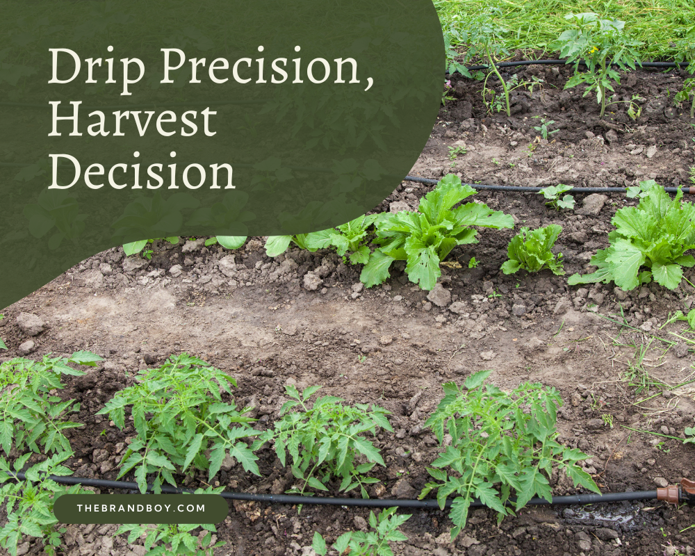 758+ Clever Drip Irrigation Slogans (generator + Guide) - Thebrandboy.com