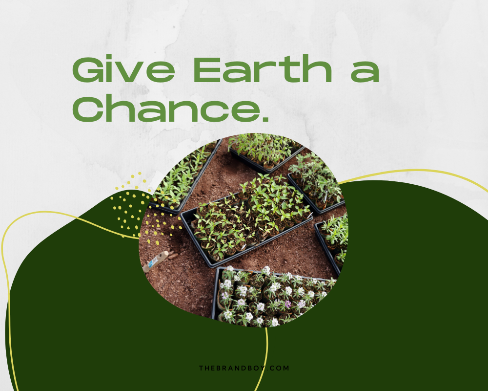 871+ Catchy Eco-Friendly Slogans And taglines (Generator + Guide ...