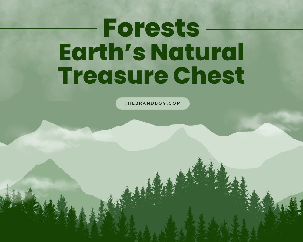 871+ Best Forest Slogans And Taglines (Generator + Guide) - Thebrandboy.com