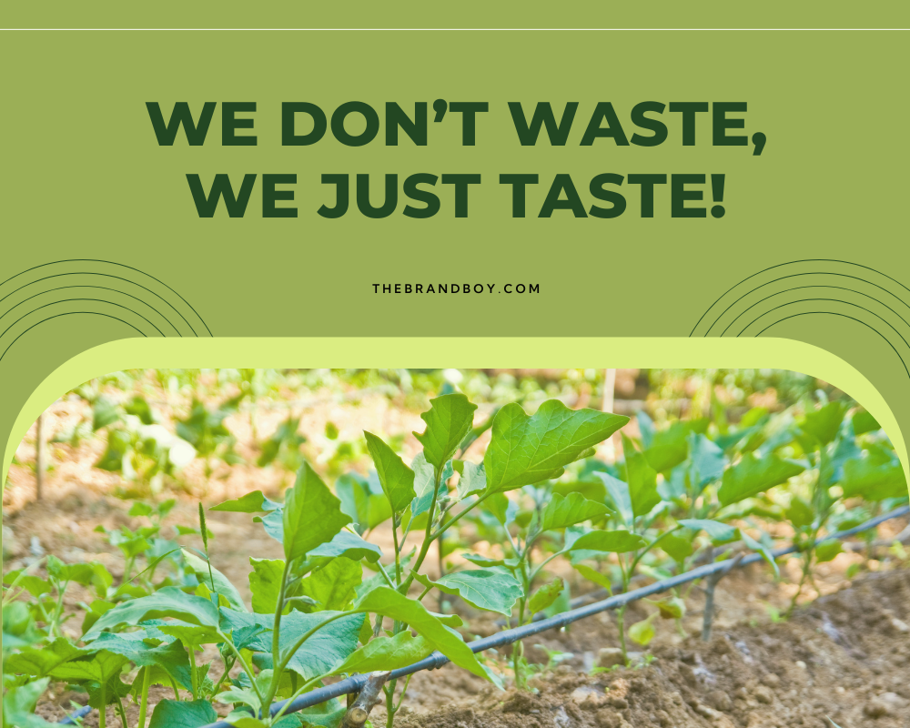 758+ Clever Drip Irrigation Slogans (generator + Guide) - Thebrandboy.com