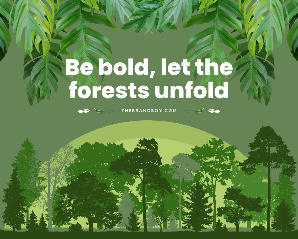 871+ Best Forest Slogans And Taglines (Generator + Guide) - Thebrandboy.com