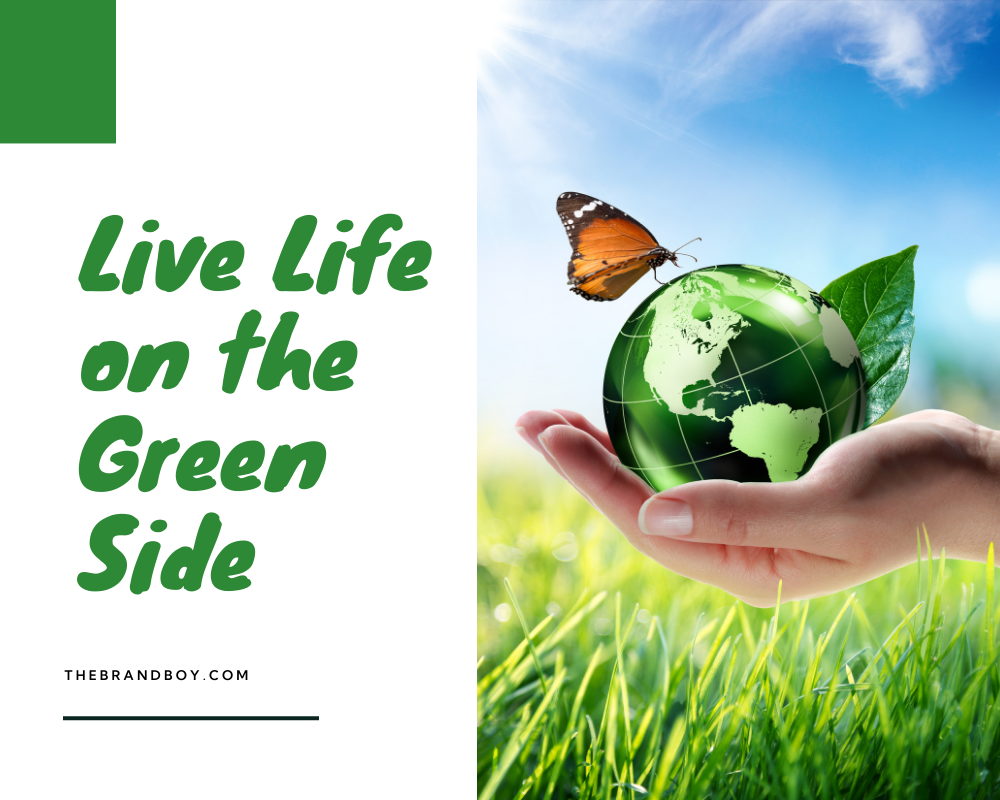 871+ Catchy Eco-Friendly Slogans And taglines (Generator + Guide ...