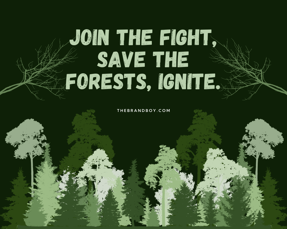 871+ Best Forest Slogans And Taglines (Generator + Guide) - Thebrandboy.com
