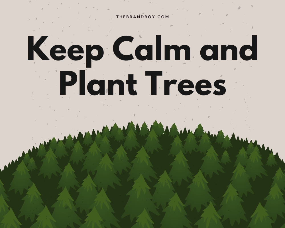 871+ Best Forest Slogans And Taglines (Generator + Guide) - Thebrandboy.com