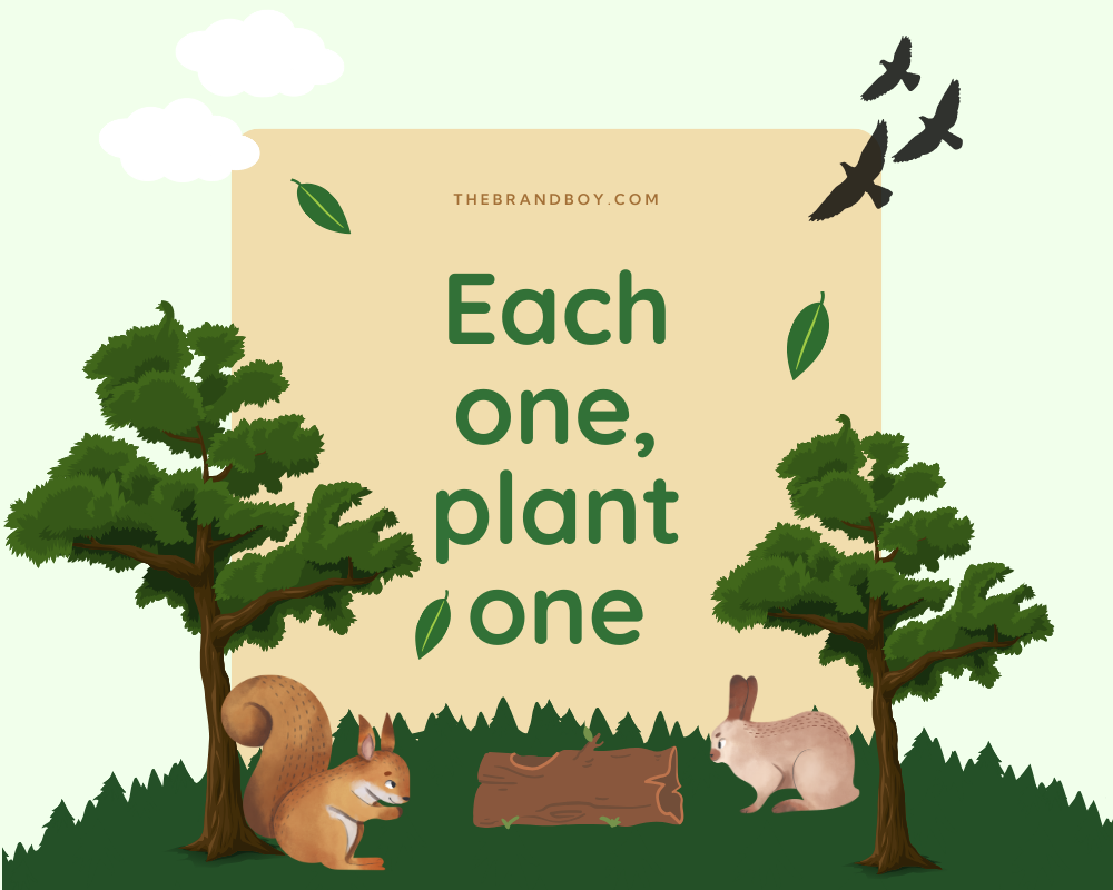 871+ Best Forest Slogans And Taglines (Generator + Guide) - Thebrandboy.com