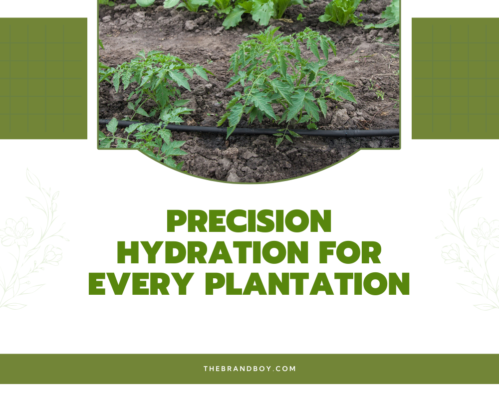 758+ Clever Drip Irrigation Slogans (generator + Guide) - Thebrandboy.com