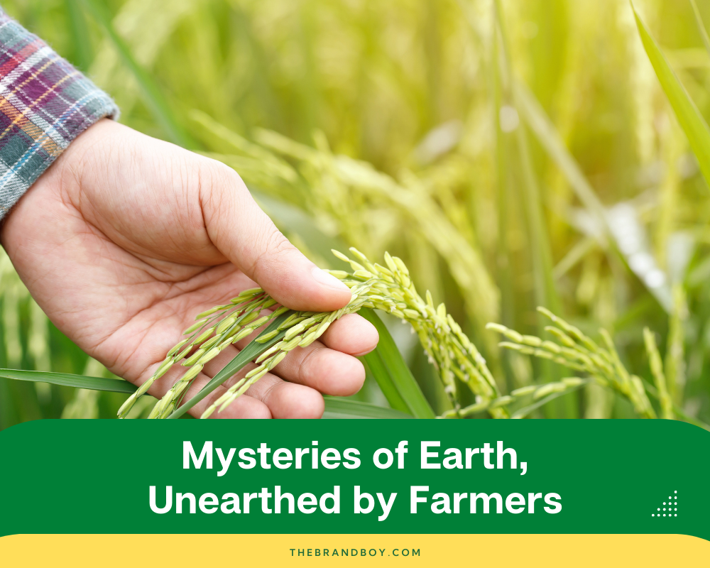 521+ Great Farmer Slogans and Sayings - thebrandboy.com