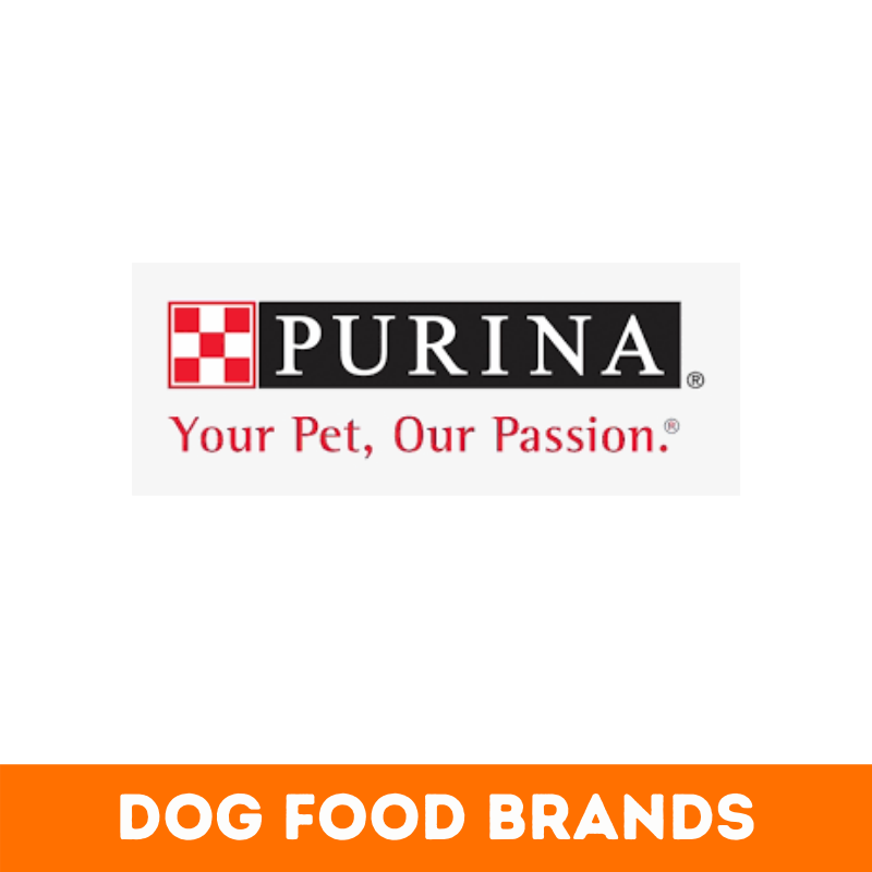 35+ Top Dog Food brands in the world