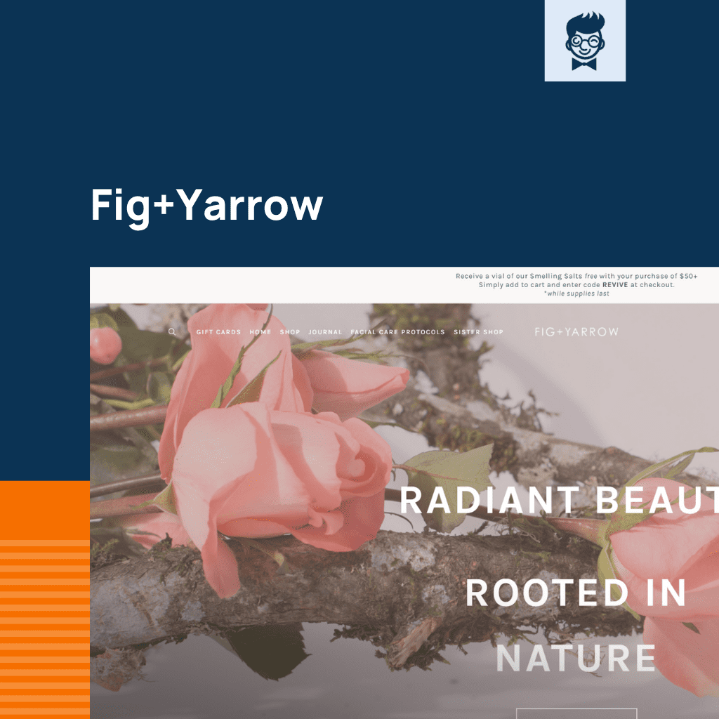 50+ Best Beauty Website Design Examples - Top Picks for 2024 - BrandBoy