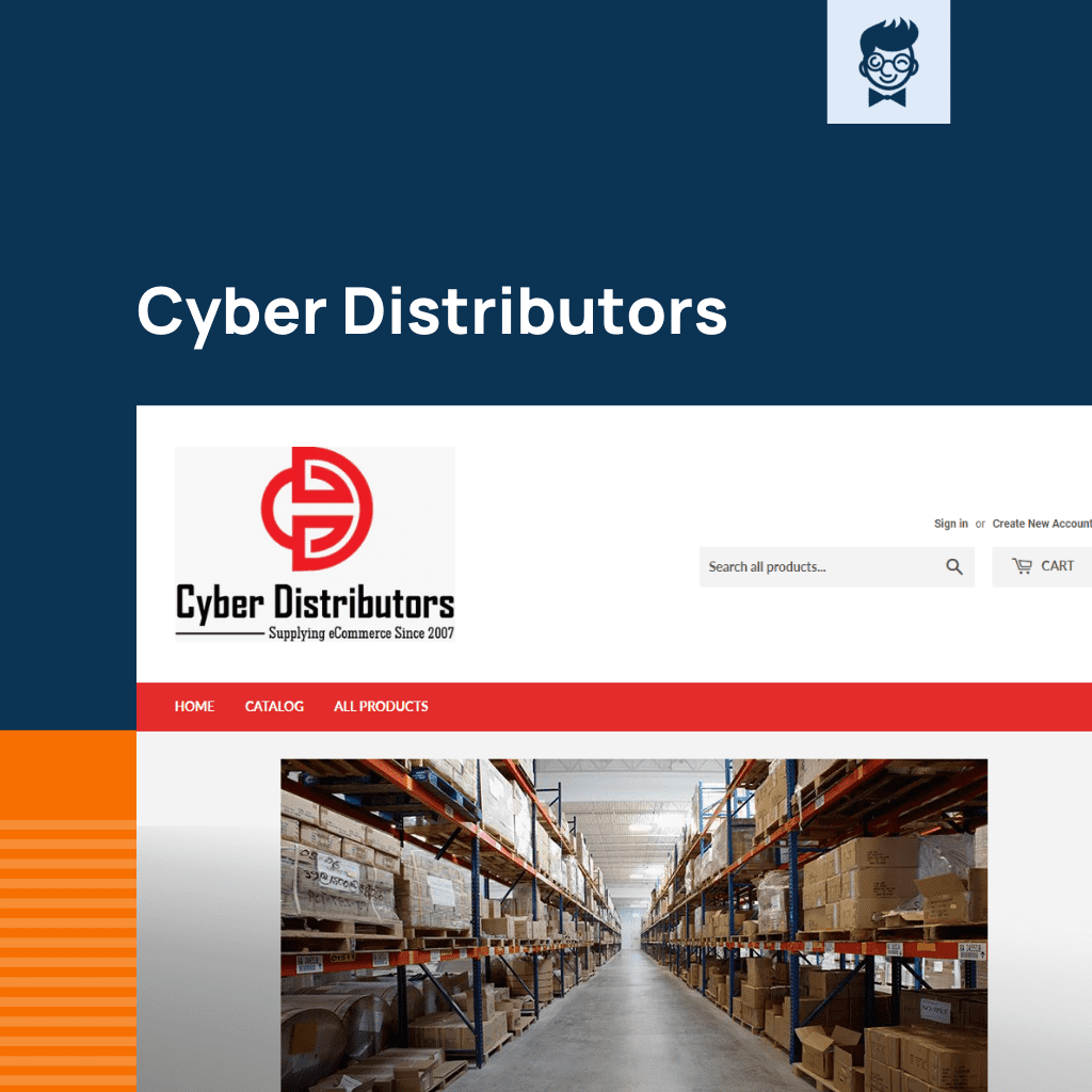 50+ Best Dropshipping Websites Examples That Will Blow Your Mind - BrandBoy