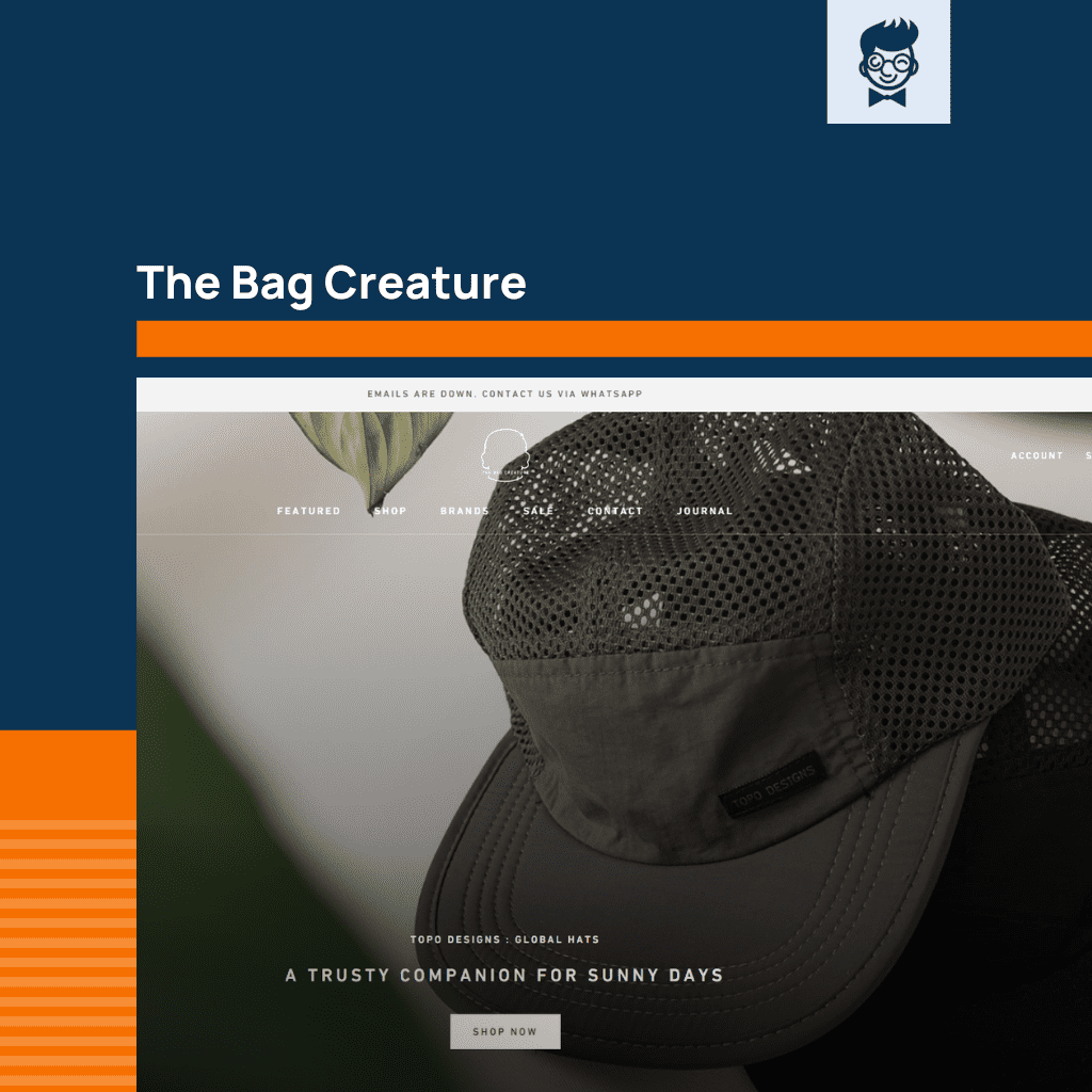 50+ Best Backpack Website Design Examples: Inspiring Layouts - BrandBoy