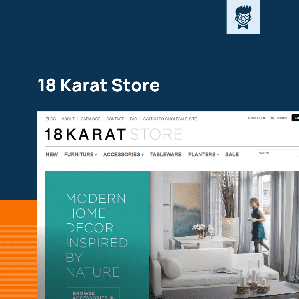 50+ Best Dropshipping Websites Examples That Will Blow Your Mind - BrandBoy